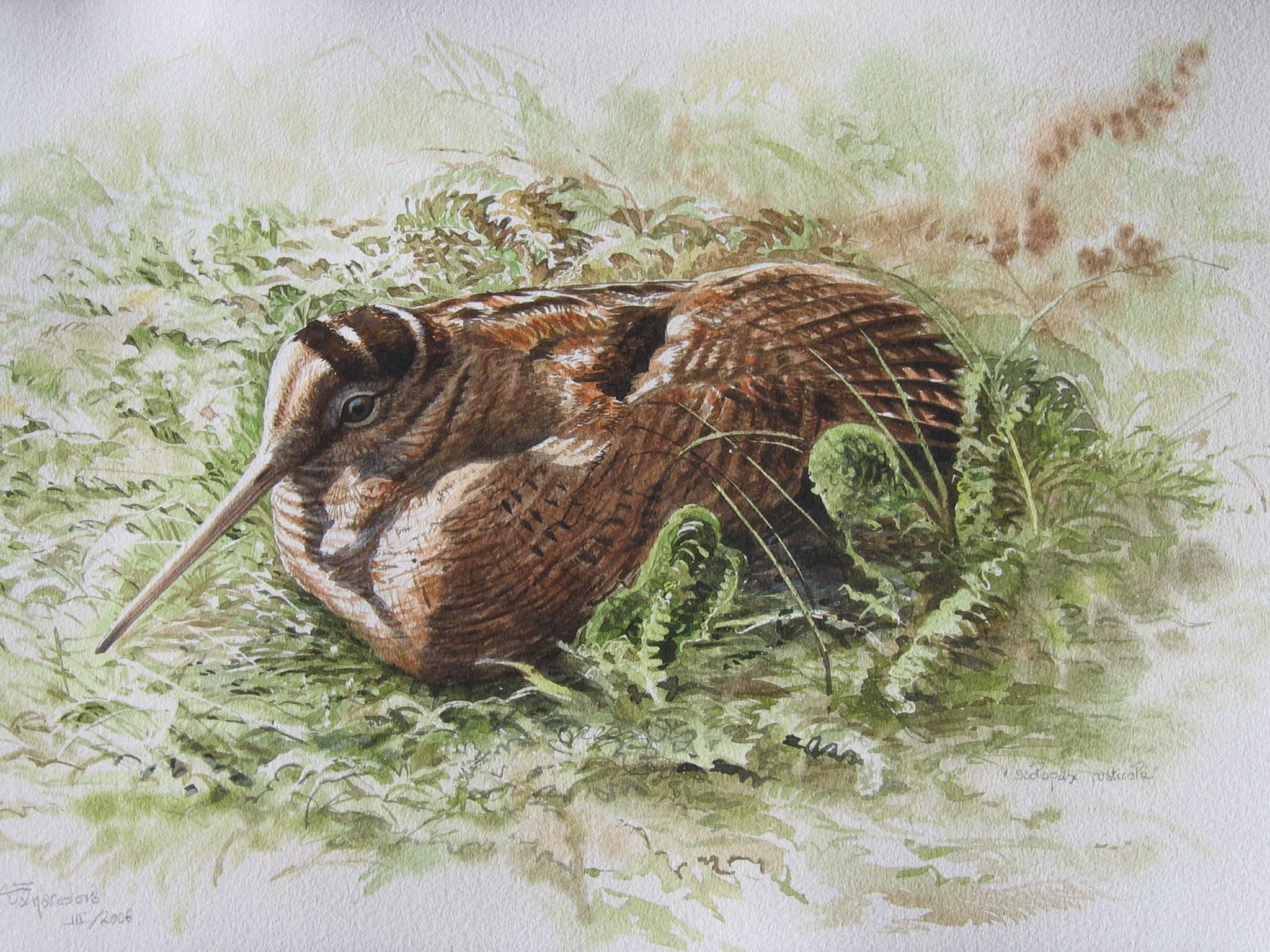 La Ferme naturaliste - Regards sur la faune et sur la flore ...