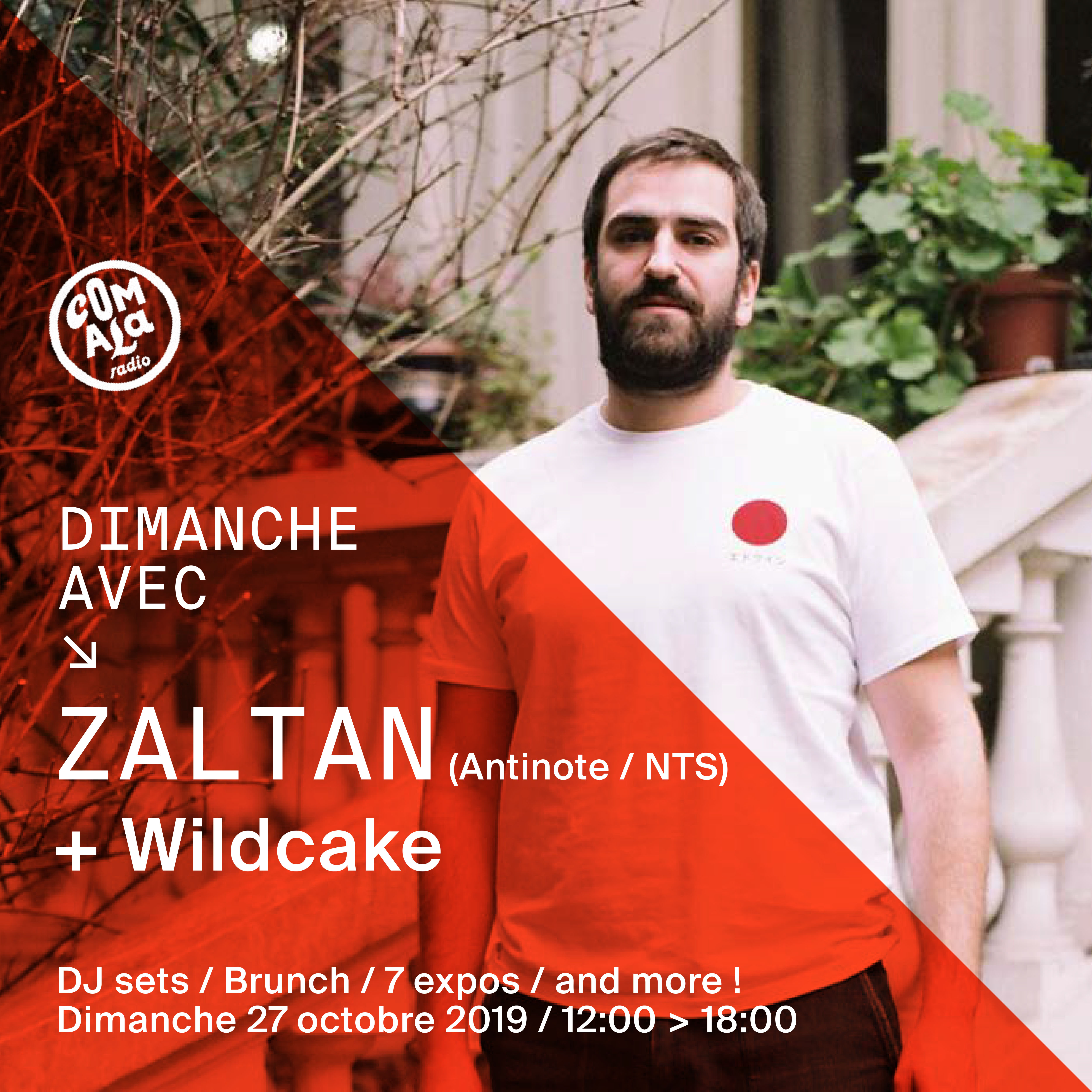 Dimanche avec Zaltan et Wildcake - Concerts - LillelaNuit.com