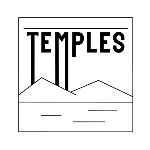 Interview : le groupe Temples en tournée pour l'album Exotico ...